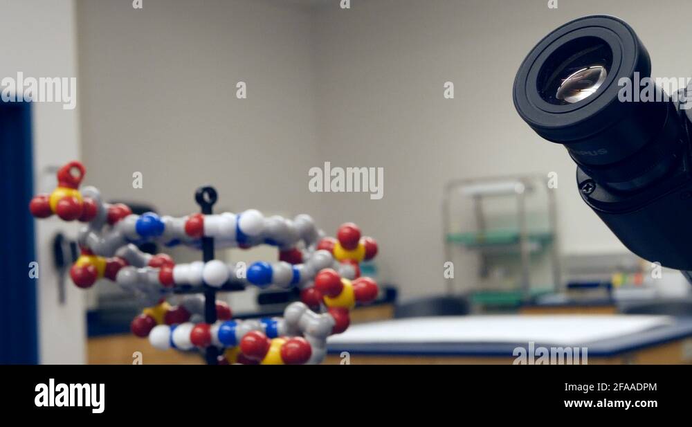 College student science lab microscope Stock Videos & Footage - HD and ...