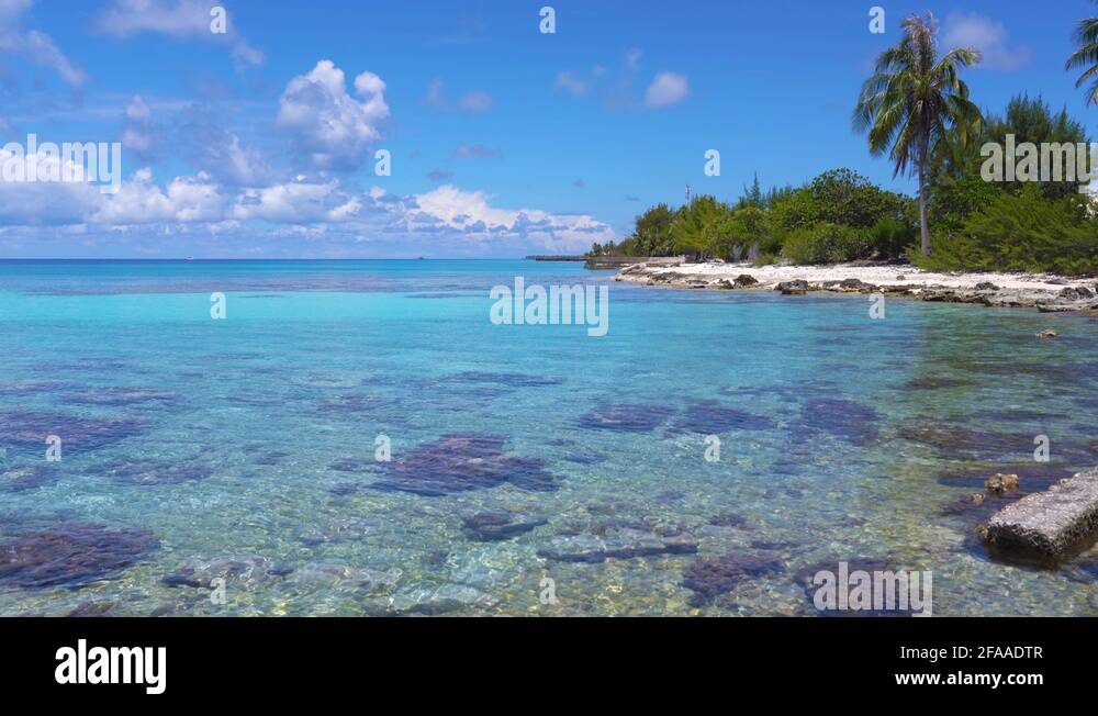 Beach and Lagoon of a Motu Island in Rangiroa Atoll, French Polynesia ...
