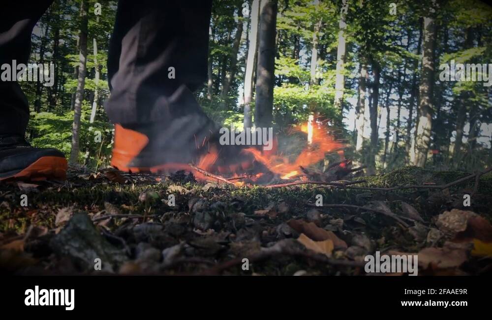 How primitive man made fire Stock Videos & Footage - HD and 4K Video ...