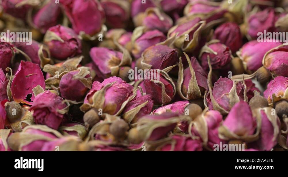 Are dried for rose tea Stock Videos & Footage - HD and 4K Video Clips ...