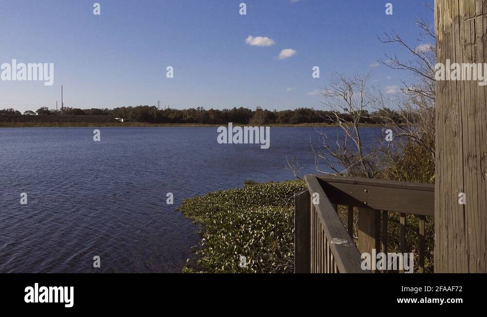 Daytime nature Stock Videos & Footage - HD and 4K Video Clips - Alamy