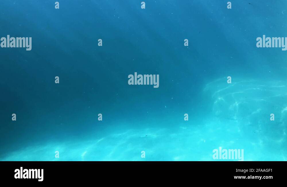 Light rays underwater Stock Videos & Footage - HD and 4K Video Clips ...