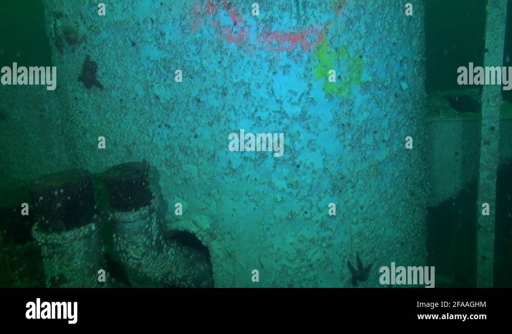 Tall smoke Stock Videos & Footage - HD and 4K Video Clips - Alamy