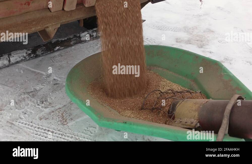 Auger and hopper Stock Videos & Footage - HD and 4K Video Clips - Alamy