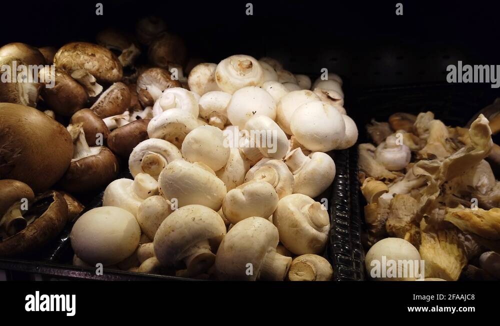 White button mushrooms Stock Videos & Footage - HD and 4K Video Clips ...