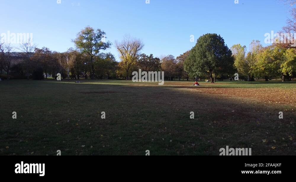 Blood field Stock Videos & Footage - HD and 4K Video Clips - Alamy