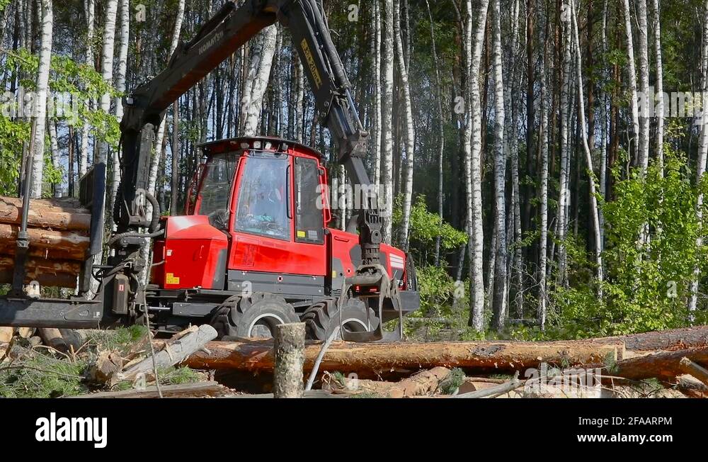 Timber loading, loading logs into a truck, timber processing ...