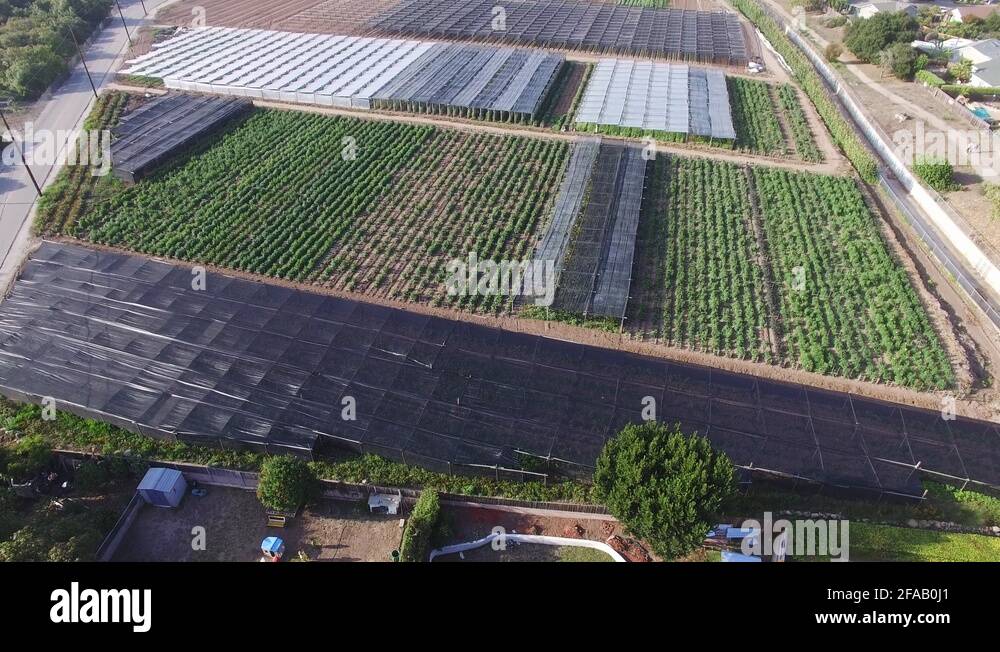 Modern horticulture farming Stock Videos & Footage - HD and 4K Video Clips - Alamy