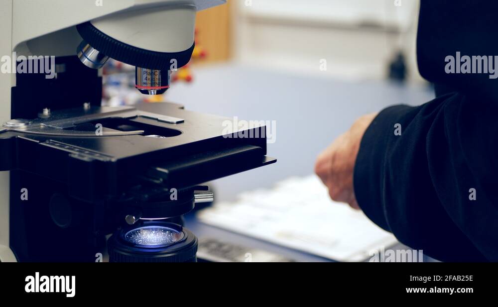 Pathology slides Stock Videos & Footage - HD and 4K Video Clips - Alamy