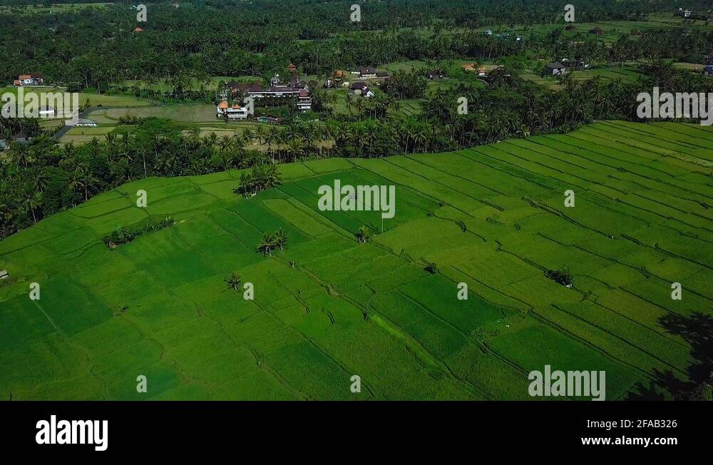 Crop yields Stock Videos & Footage - HD and 4K Video Clips - Alamy