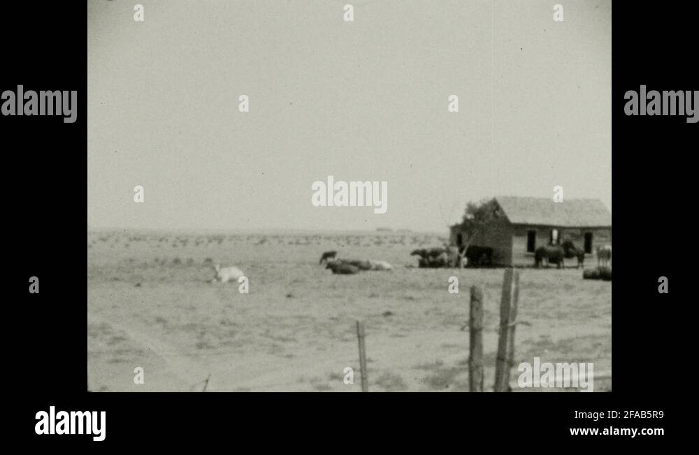 1920s farm woman Stock Videos & Footage - HD and 4K Video Clips - Alamy