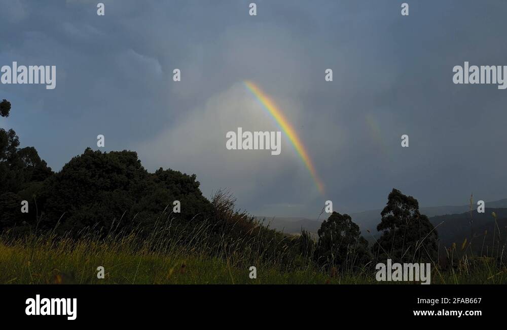 A magnificent rainbow shown from a grassy, stationary vantage point ...