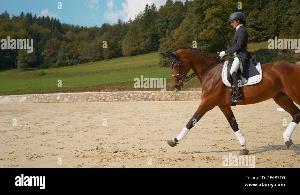 English rider Stock Videos & Footage - HD and 4K Video Clips - Alamy