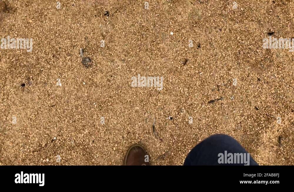 Man walking on sand Stock Videos & Footage - HD and 4K Video Clips - Alamy