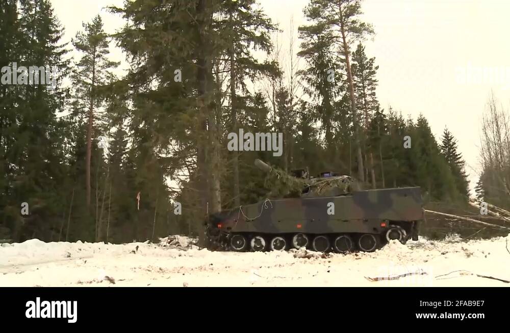 Battle tree Stock Videos & Footage - HD and 4K Video Clips - Alamy