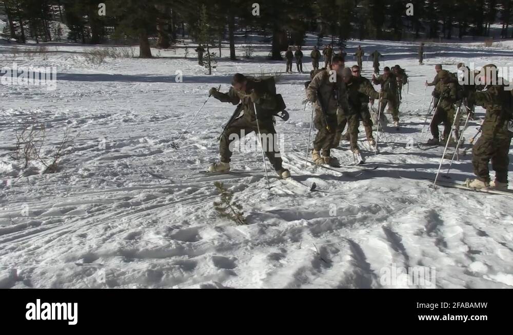 Queue pole Stock Videos & Footage - HD and 4K Video Clips - Alamy