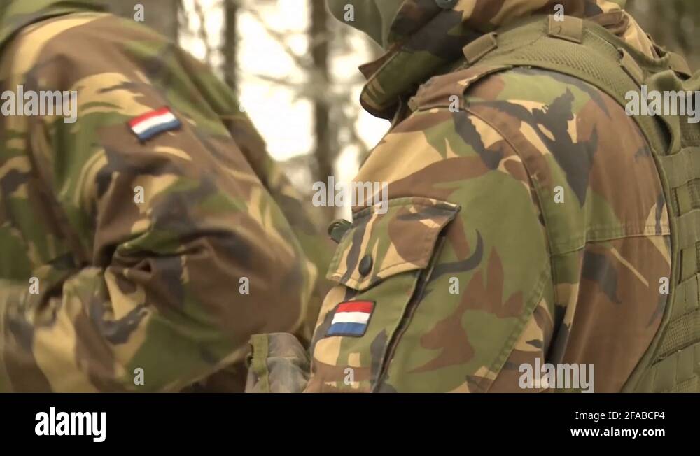 Army battle exercise Stock Videos & Footage - HD and 4K Video Clips - Alamy