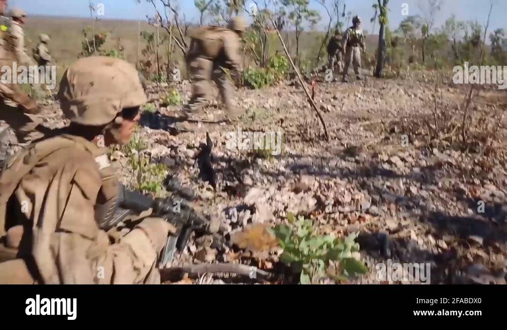 Charlie field Stock Videos & Footage - HD and 4K Video Clips - Alamy