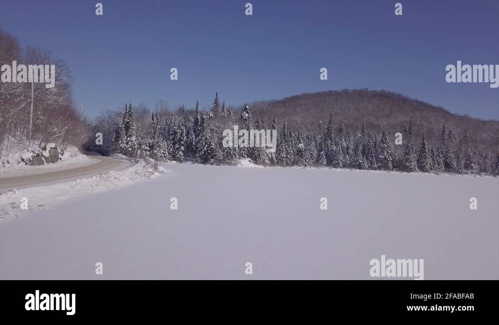 Back forrest Stock Videos & Footage - HD and 4K Video Clips - Alamy