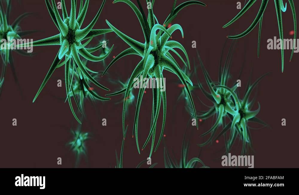 Brain neurons pattern Stock Videos & Footage - HD and 4K Video Clips ...