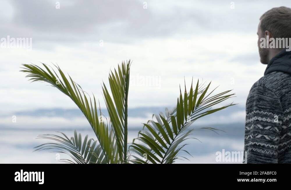 Man small man standing palm Stock Videos & Footage - HD and 4K Video ...