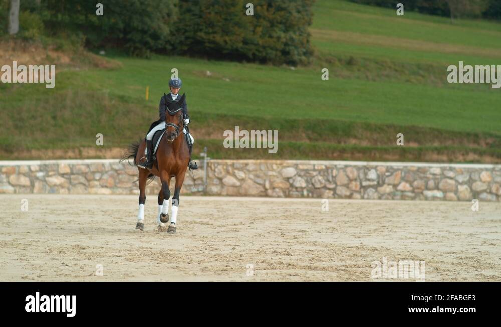 Riding rider dressage canter Stock Videos & Footage - HD and 4K Video ...