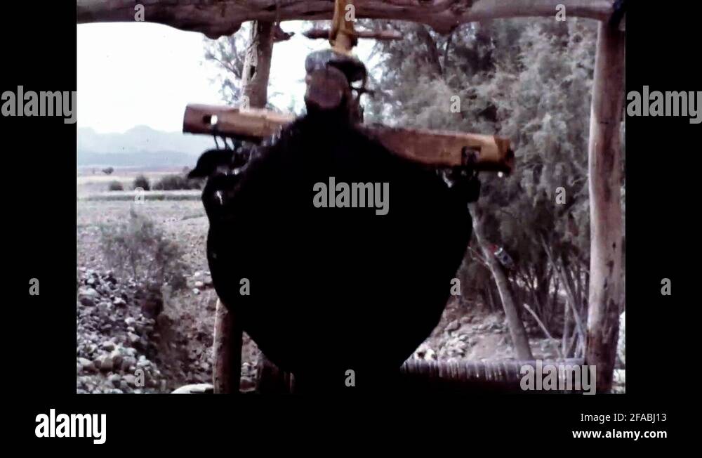 Camel drawing Stock Videos & Footage - HD and 4K Video Clips - Alamy