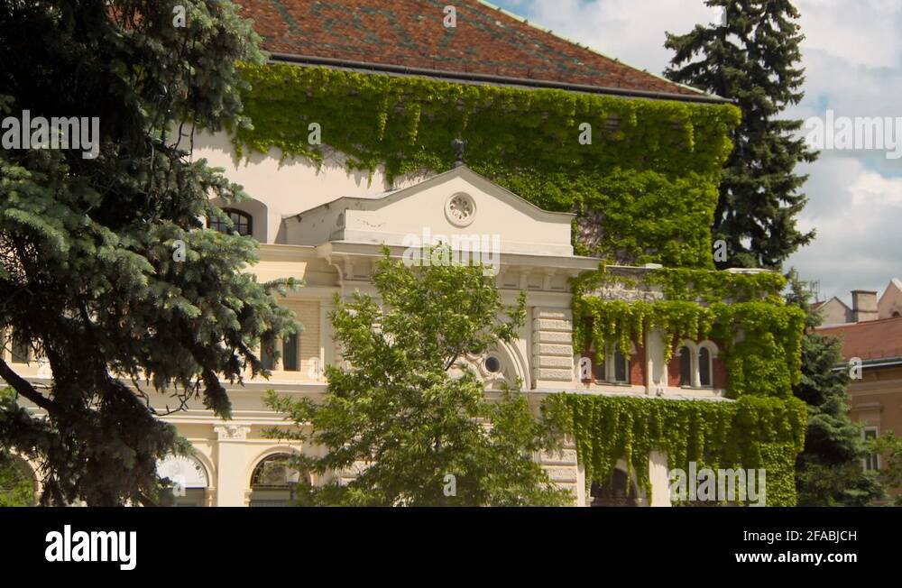 Pan of A Gorgeous Ivy Clad Building and People Moving Through Liberty ...