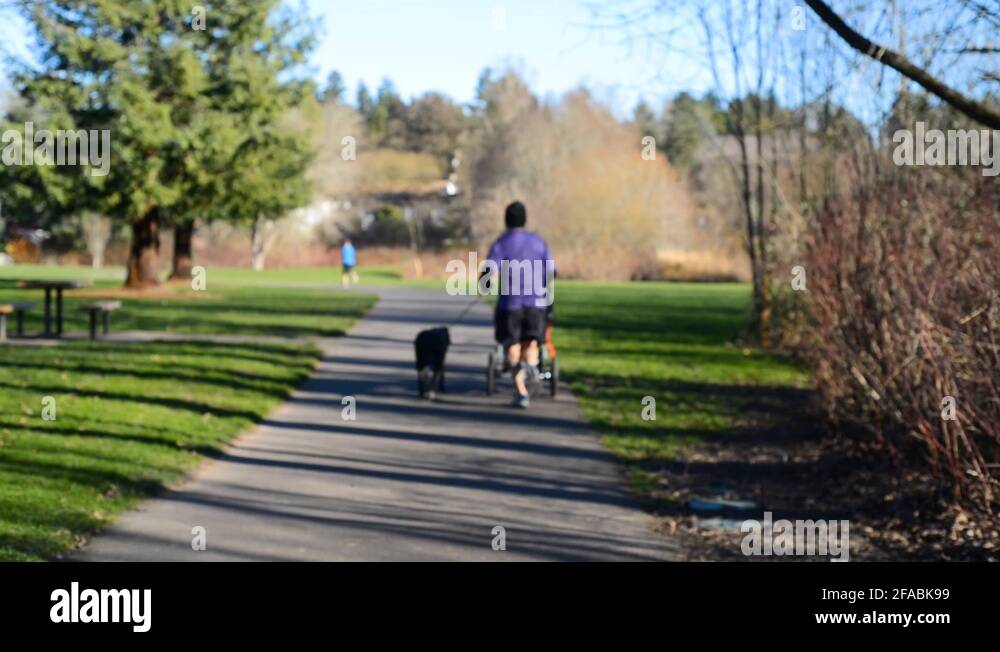 Man running through park Stock Videos & Footage - HD and 4K Video Clips ...