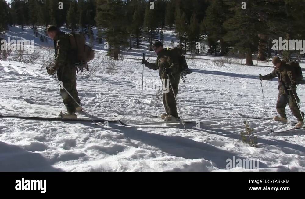 Lance pole Stock Videos & Footage - HD and 4K Video Clips - Alamy