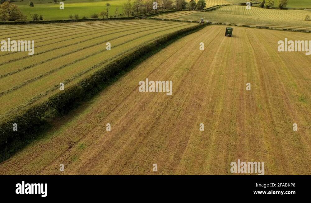 Fields hedges Stock Videos & Footage - HD and 4K Video Clips - Alamy