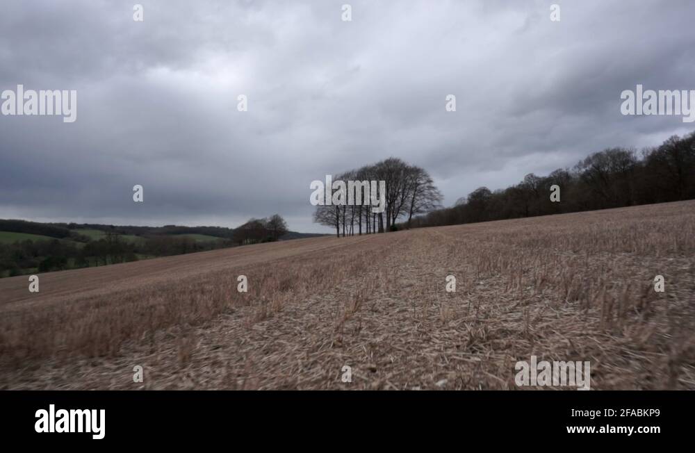 Speed walking Stock Videos & Footage - HD and 4K Video Clips - Alamy