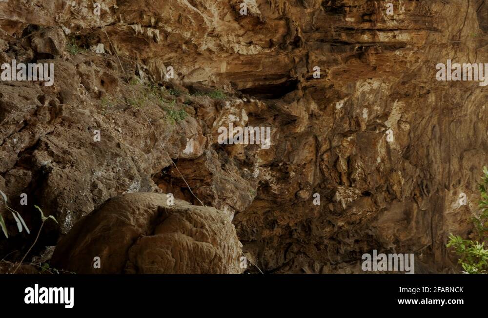 Cave exit Stock Videos & Footage - HD and 4K Video Clips - Alamy
