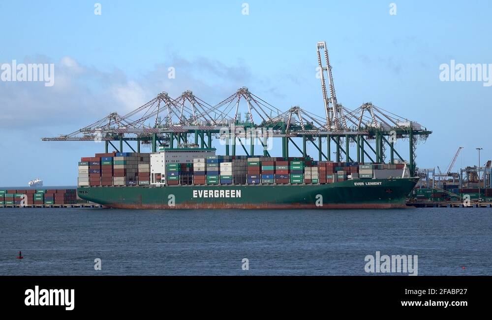 Evergreen lines Stock Videos & Footage - HD and 4K Video Clips - Alamy