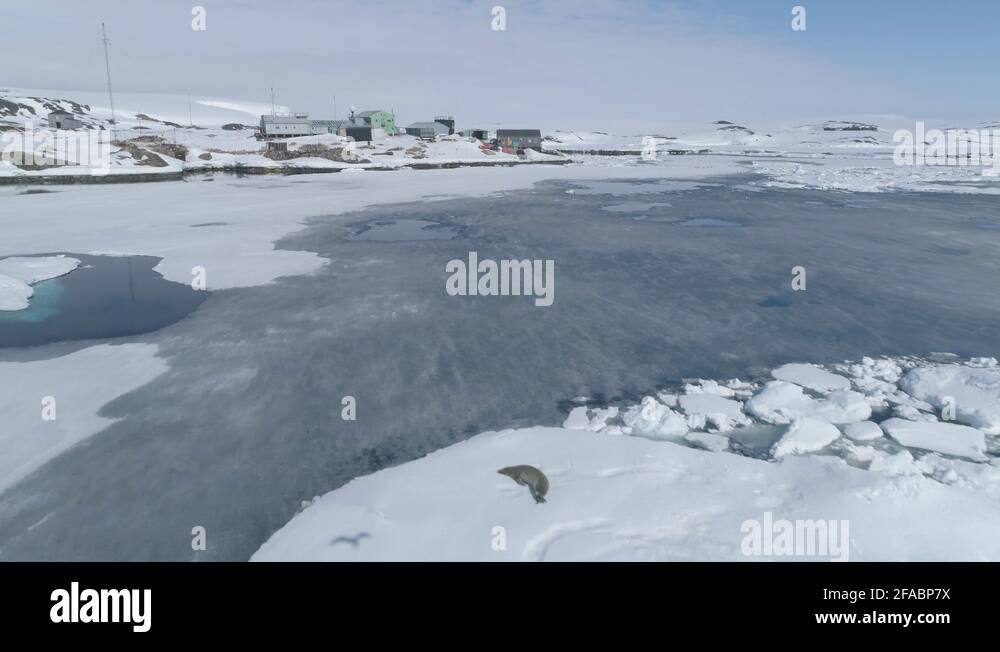 North ice research station Stock Videos & Footage - HD and 4K Video ...