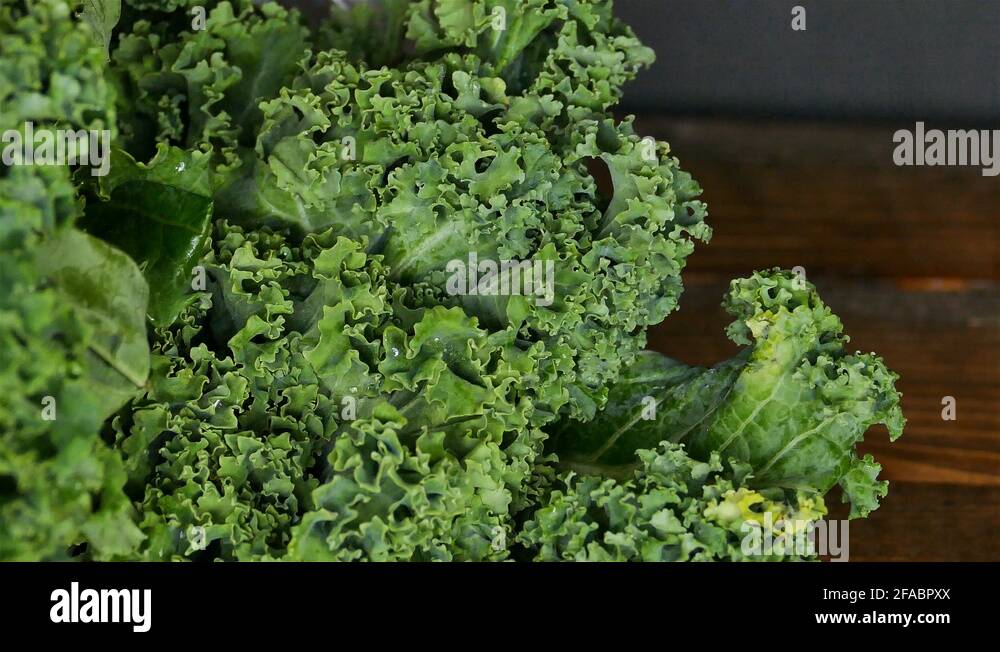Kale background Stock Videos & Footage - HD and 4K Video Clips - Alamy