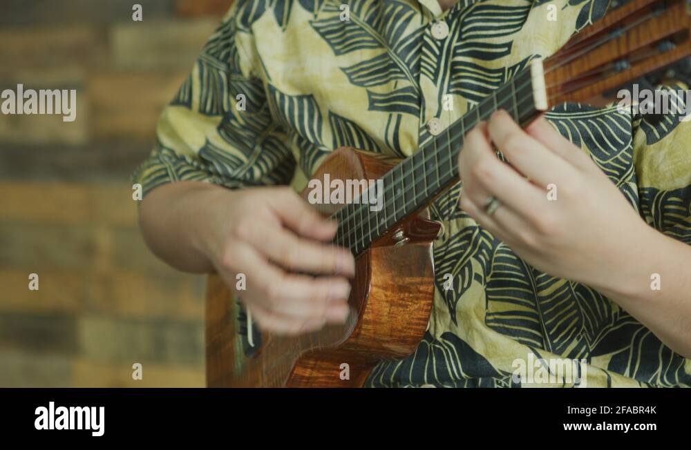 Ukulele hawaii playing Stock Videos & Footage - HD and 4K Video Clips ...