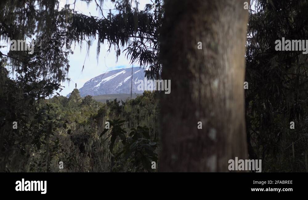 Pan continent Stock Videos & Footage - HD and 4K Video Clips - Alamy