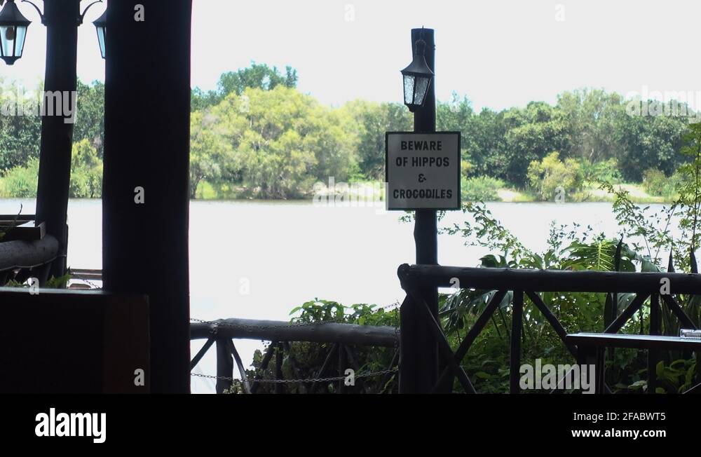 Beware of trees Stock Videos & Footage - HD and 4K Video Clips - Alamy