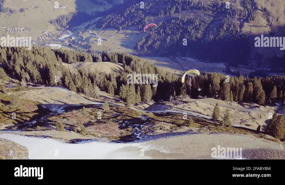 Two paraglider flying in close proximity over a forest in the Austrian ...