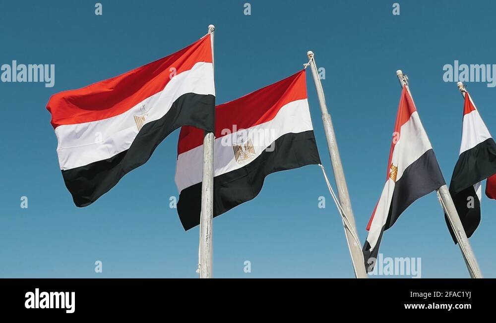 Egyptian flags Stock Videos & Footage - HD and 4K Video Clips - Alamy