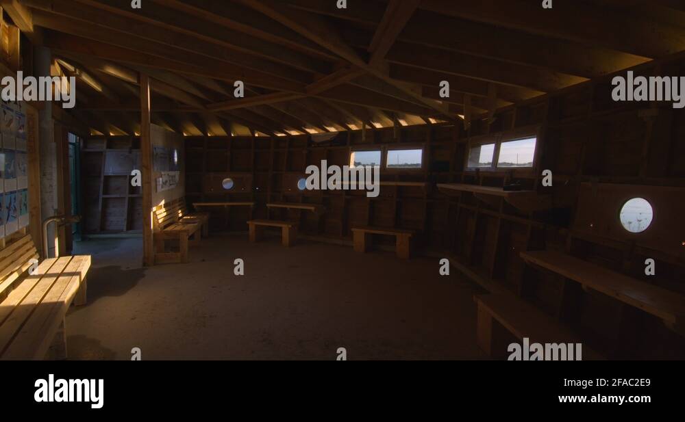 Timber hut timber shed shed Stock Videos & Footage - HD and 4K Video ...