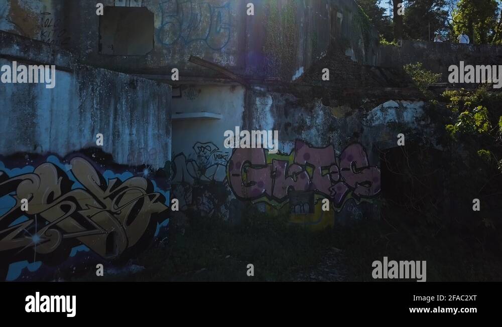 Trees with graffiti Stock Videos & Footage - HD and 4K Video Clips - Alamy