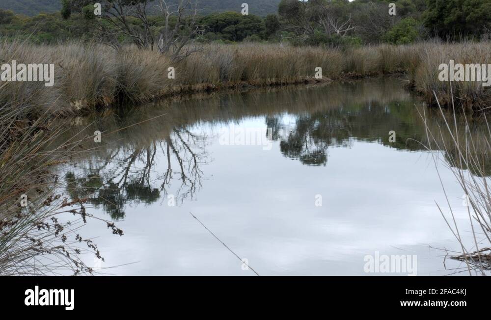 Australian waterway Stock Videos & Footage - HD and 4K Video Clips - Alamy