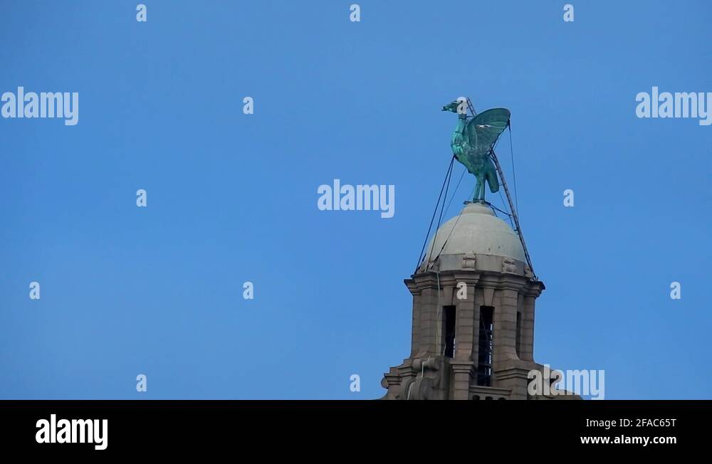 Liver bird tower Stock Videos & Footage - HD and 4K Video Clips - Alamy