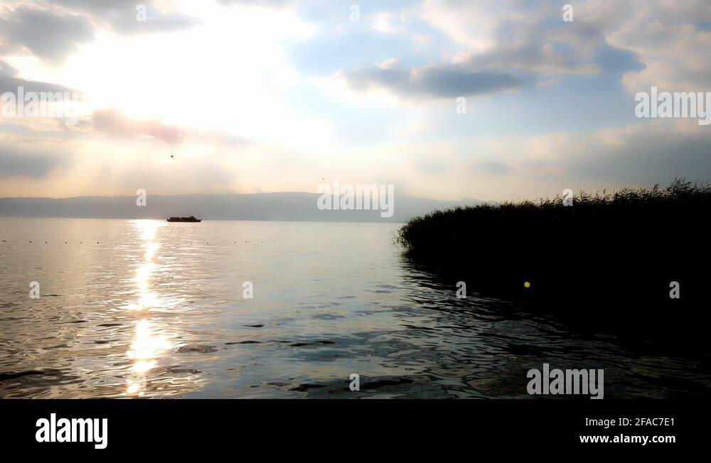 Cane silhouette Stock Videos & Footage - HD and 4K Video Clips - Alamy