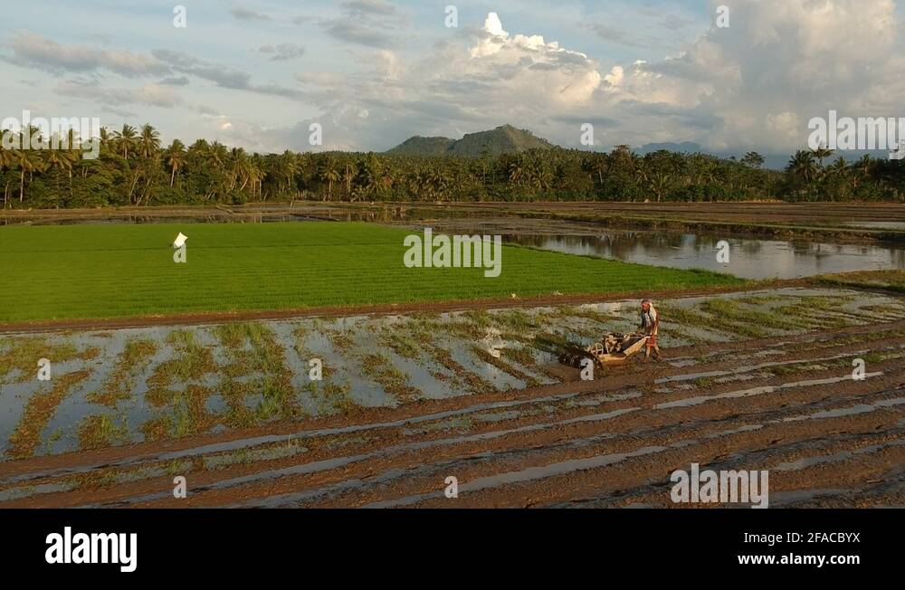 Farming philippines plough plow Stock Videos & Footage - HD and 4K ...