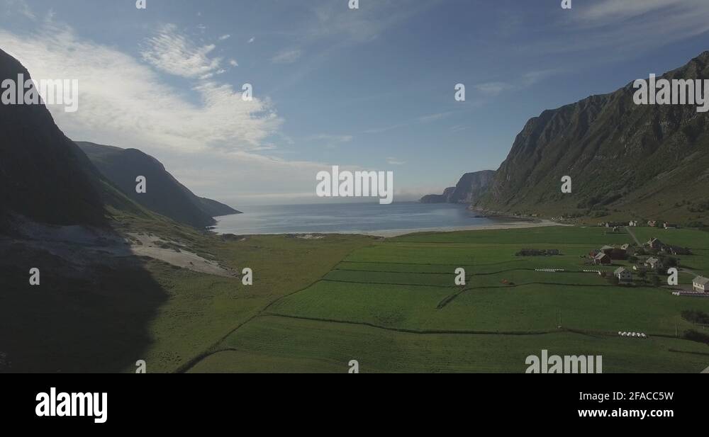 Bird attacking drone Stock Videos & Footage - HD and 4K Video Clips - Alamy