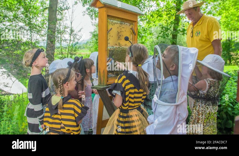 Girls watching bees Stock Videos & Footage - HD and 4K Video Clips - Alamy