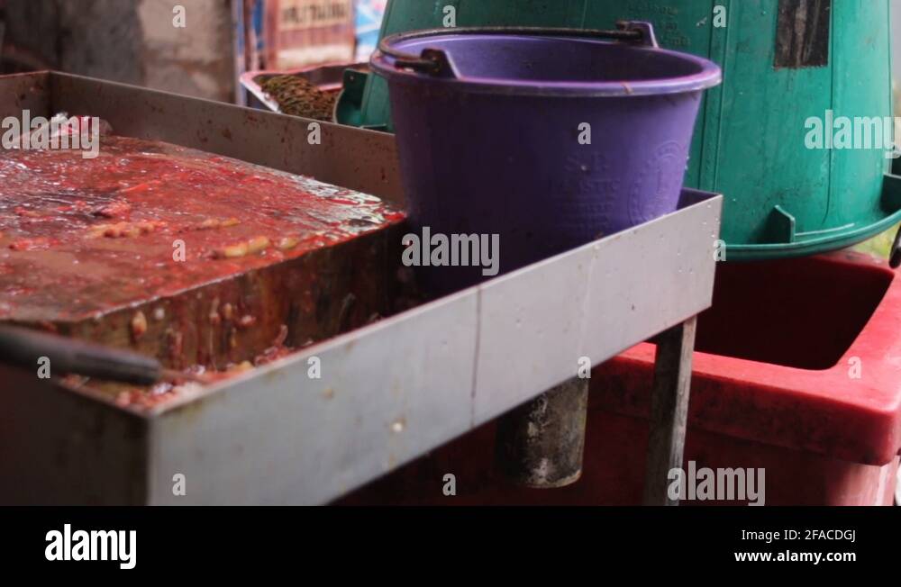 Being gutted Stock Videos & Footage - HD and 4K Video Clips - Alamy